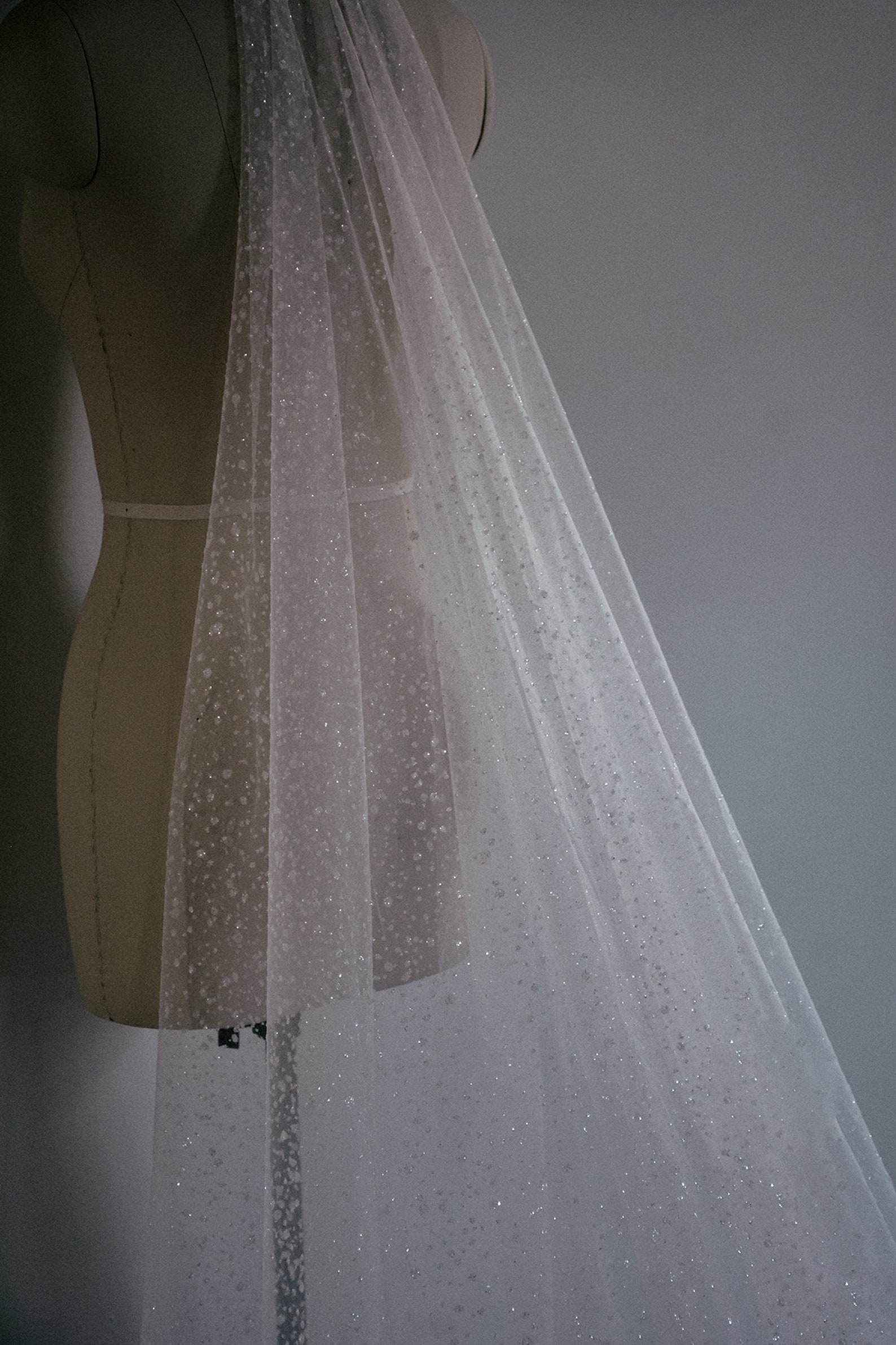 Bridal Veil With Sparkle, Cathedral Sparkle Veil, Shimmer Veil - GALAXY ...