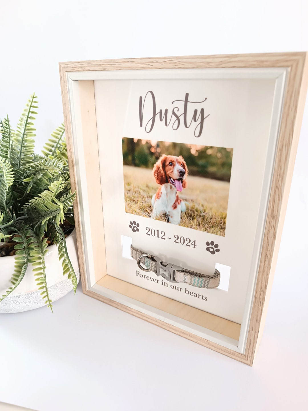 Pet Collar Frame Pet Memorial Box Frame Pet Loss Pet Memorial Gift - Etsy