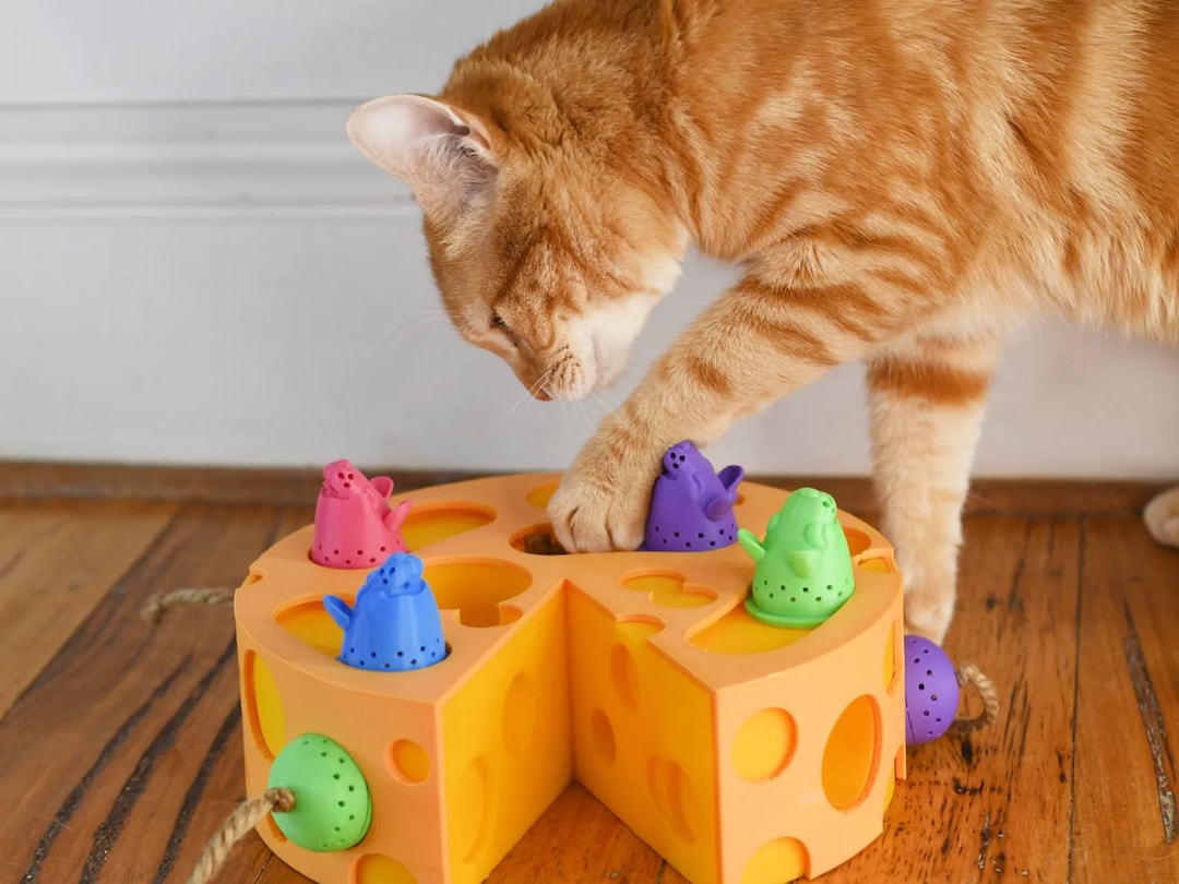 Cheesy Mouse Treat Puzzle Cat Toy Maze - Etsy