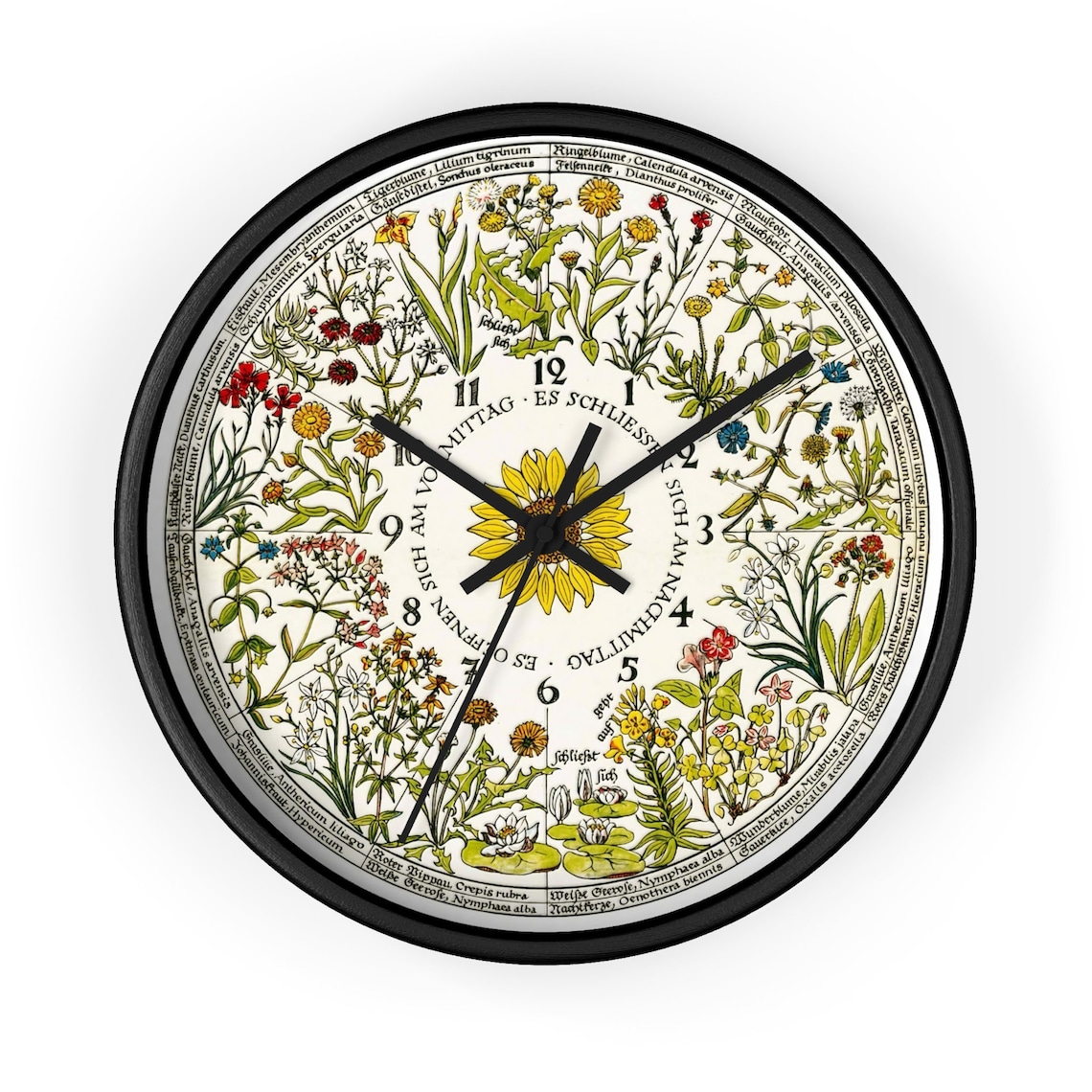 Wall Clock, Printed With the Botanical Chart of Linnaeus's Flower Clock ...
