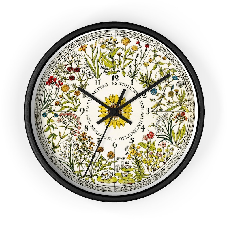 Wall Clock, Printed With the Botanical Chart of Linnaeus's Flower Clock ...
