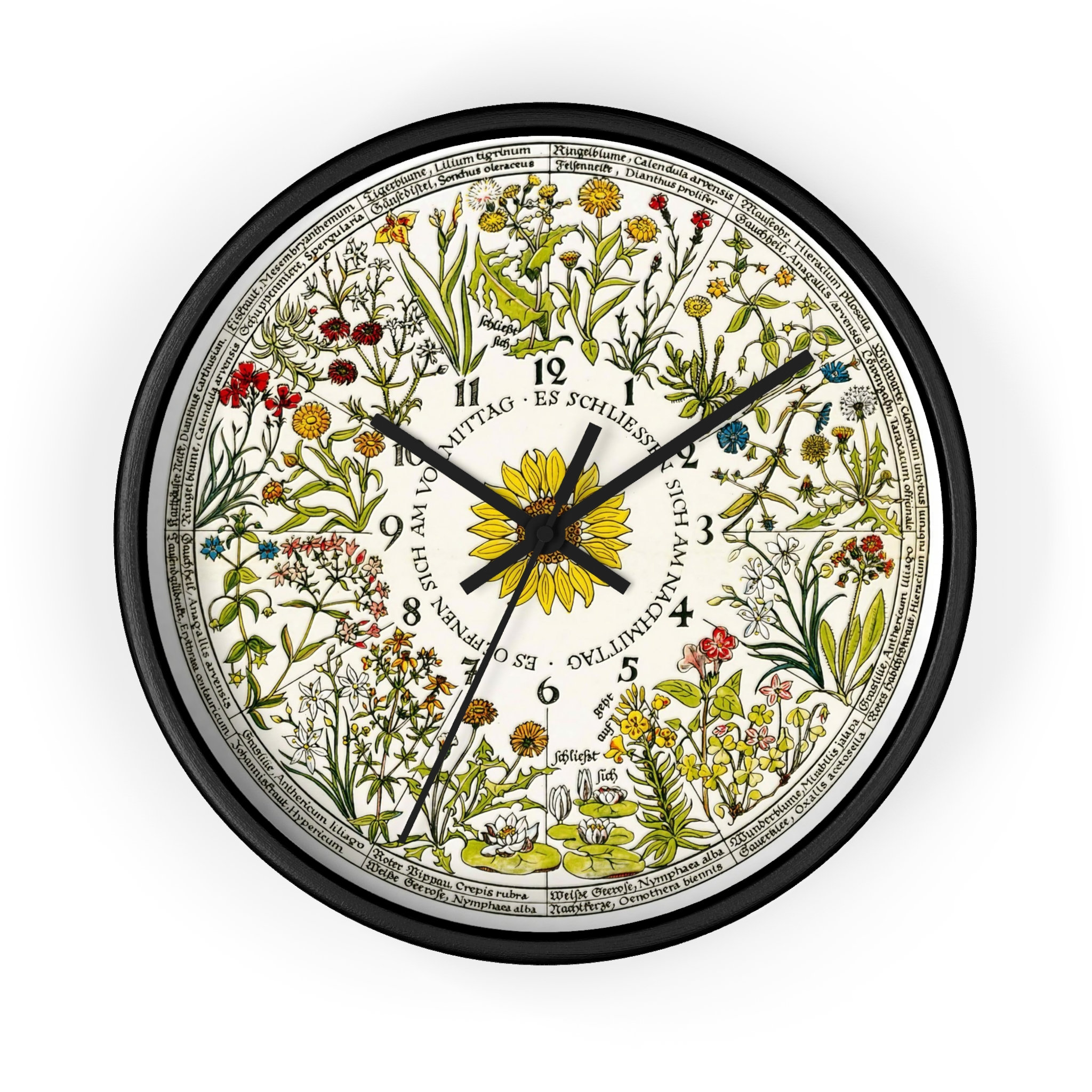 Wall Clock, Printed With the Botanical Chart of Linnaeus's Flower Clock ...