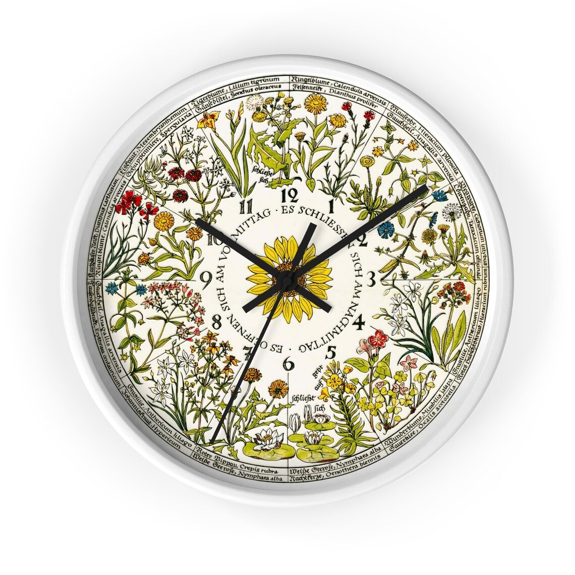 Wall Clock, Printed With the Botanical Chart of Linnaeus's Flower Clock ...