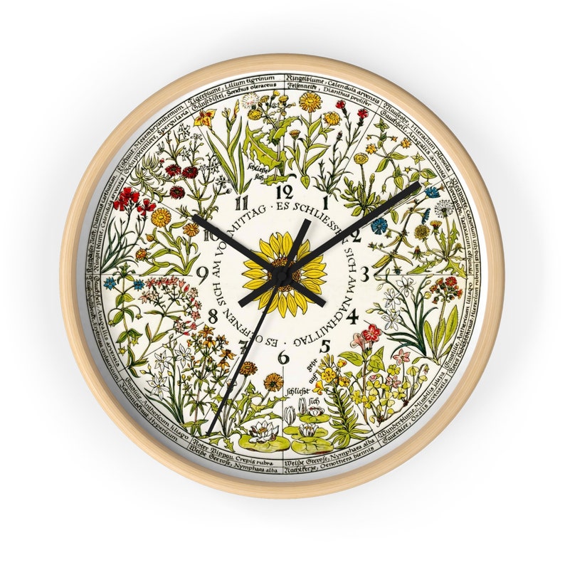 Wall Clock, Printed With the Botanical Chart of Linnaeus's Flower Clock ...