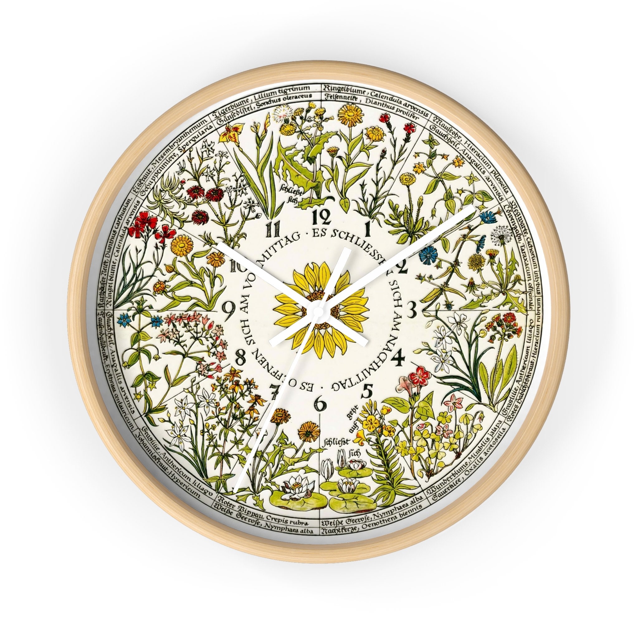Wall Clock, Printed With the Botanical Chart of Linnaeus's Flower Clock ...