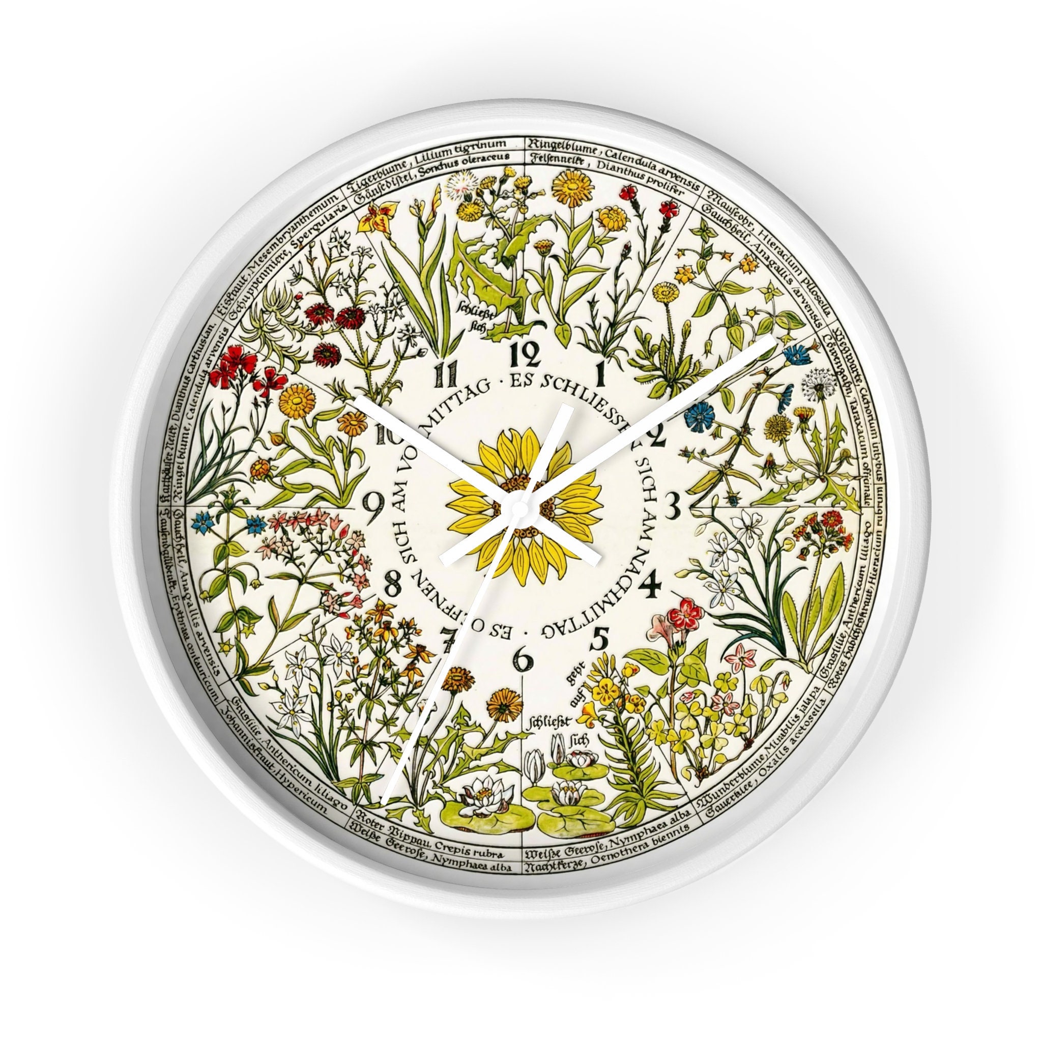 Wall Clock, Printed With the Botanical Chart of Linnaeus's Flower Clock ...