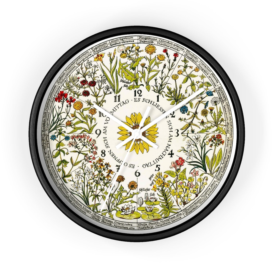 Wall Clock, Printed With the Botanical Chart of Linnaeus's Flower Clock ...