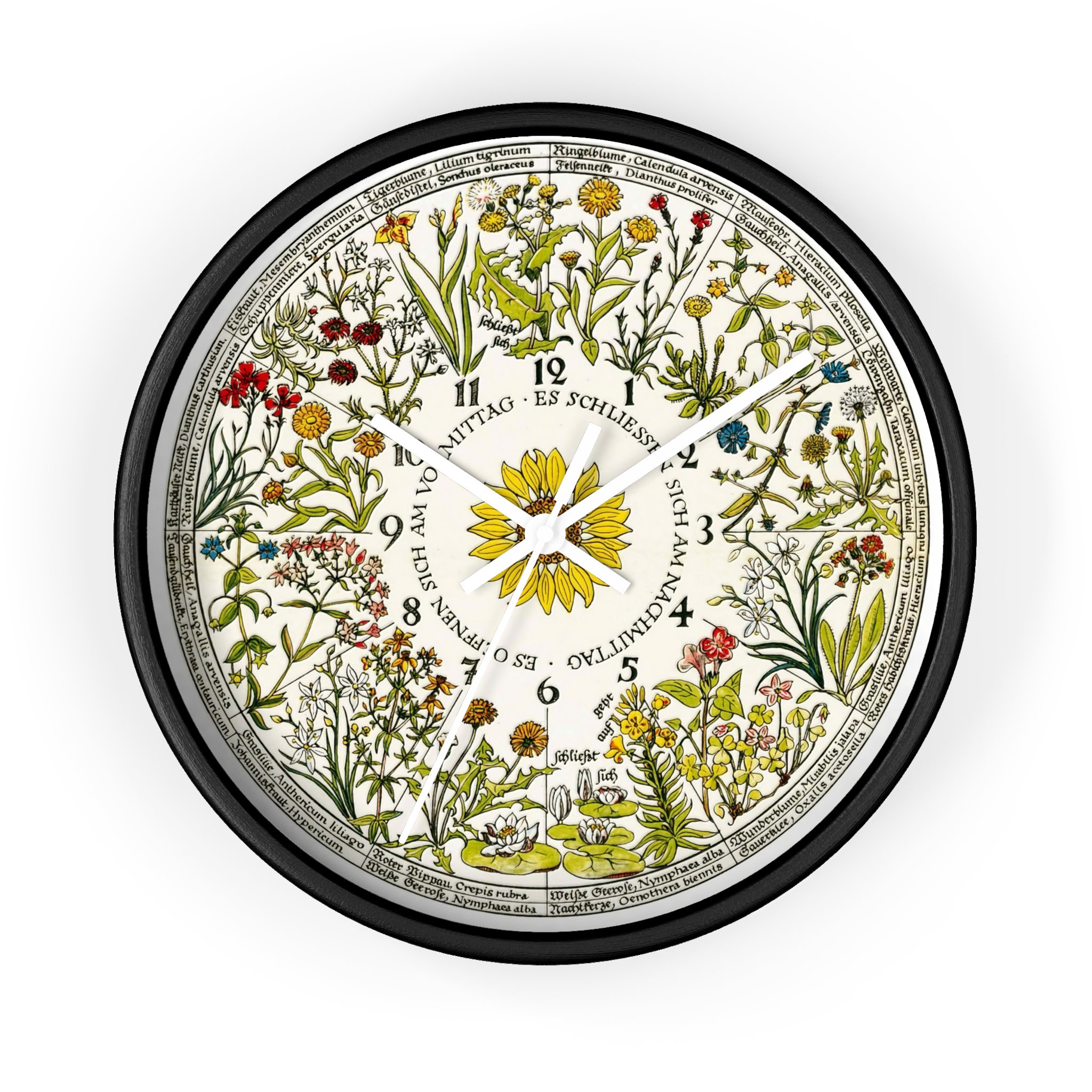 Wall Clock, Printed With the Botanical Chart of Linnaeus's Flower Clock ...