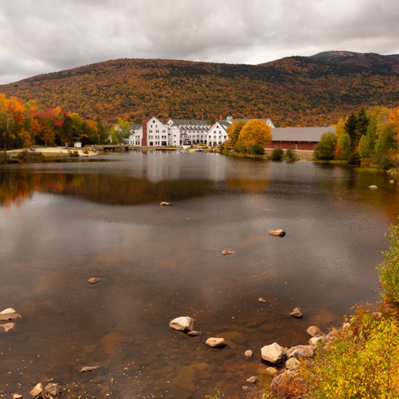 Landscaping trees nh - Etsy.de