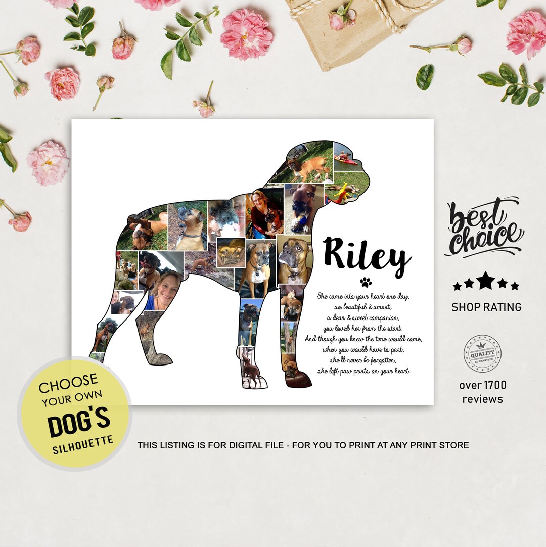 Boxer perro Collage regalo signo perro memorial signo - Etsy España