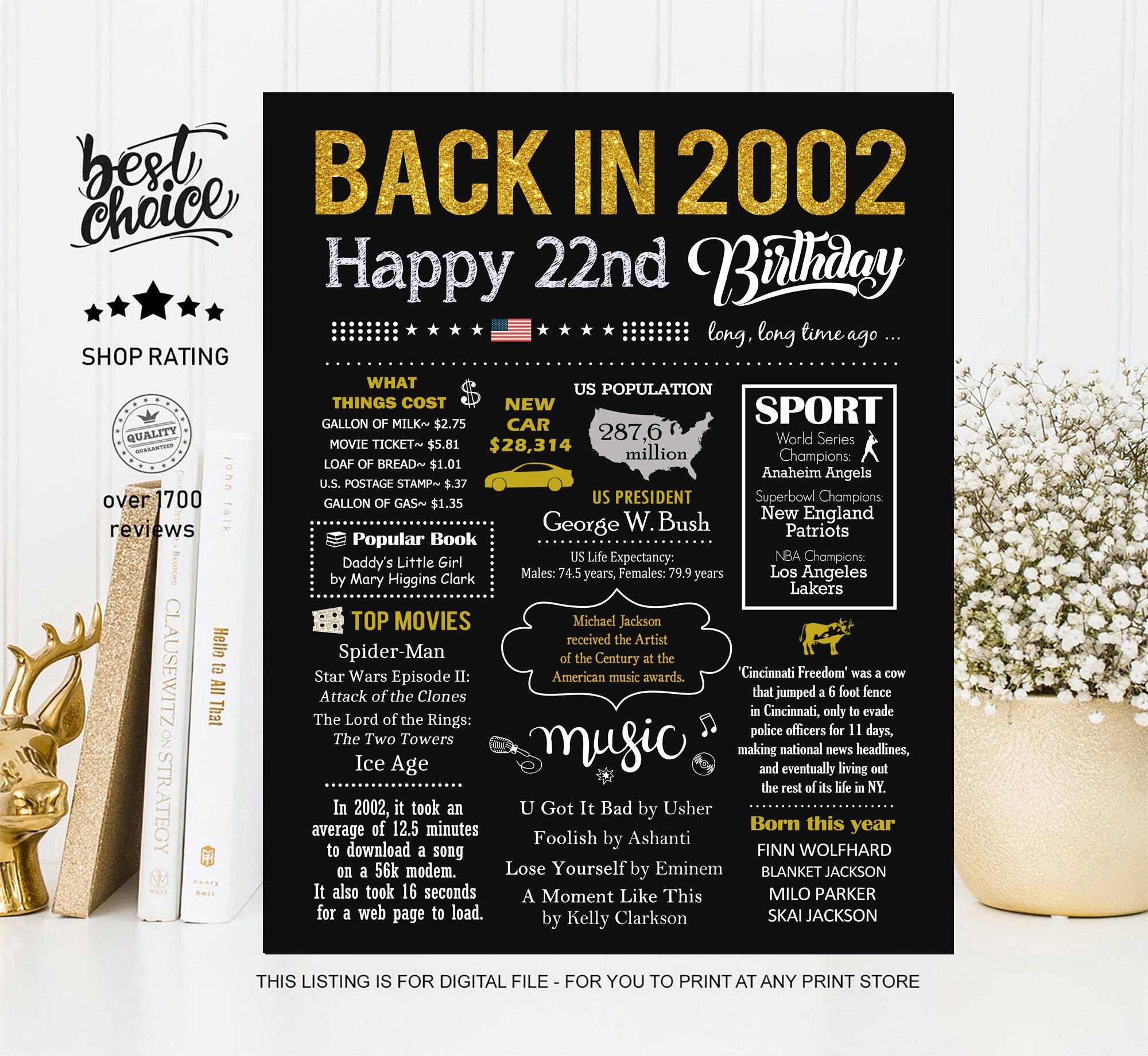 Back in 2002 Sign - 22nd Birthday Gift Ideas for Her or Him - INSTANT ...