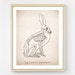Rabbit Anatomy Art Print. Science Illustration. 8x10 Print. Science Art ...