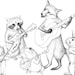 Bluegrass Animal Band Art Print - Bluegrass Art - Animal Art - Music ...