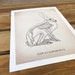 Rabbit Anatomy Art Print. Science Illustration. 8x10 Print. Science Art ...