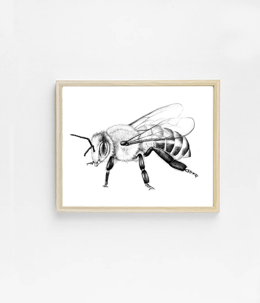 Bee Art Print. Honey Bee Print. Natural Artwork. Science Art. Natural ...
