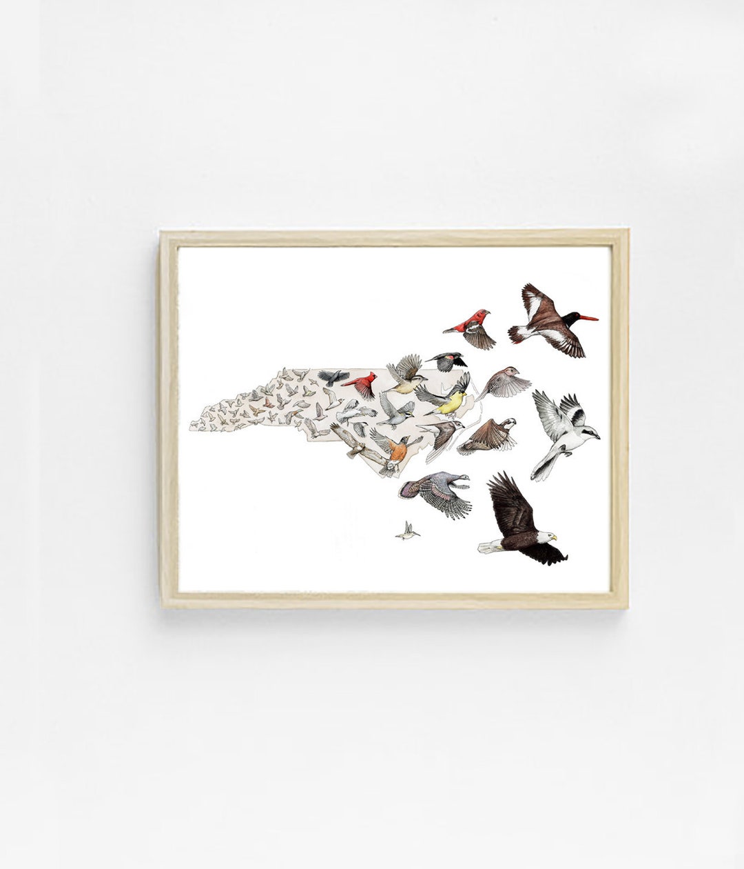 North Carolina Birds Art Print. NC Birds Painting. Natural Wildlife ...