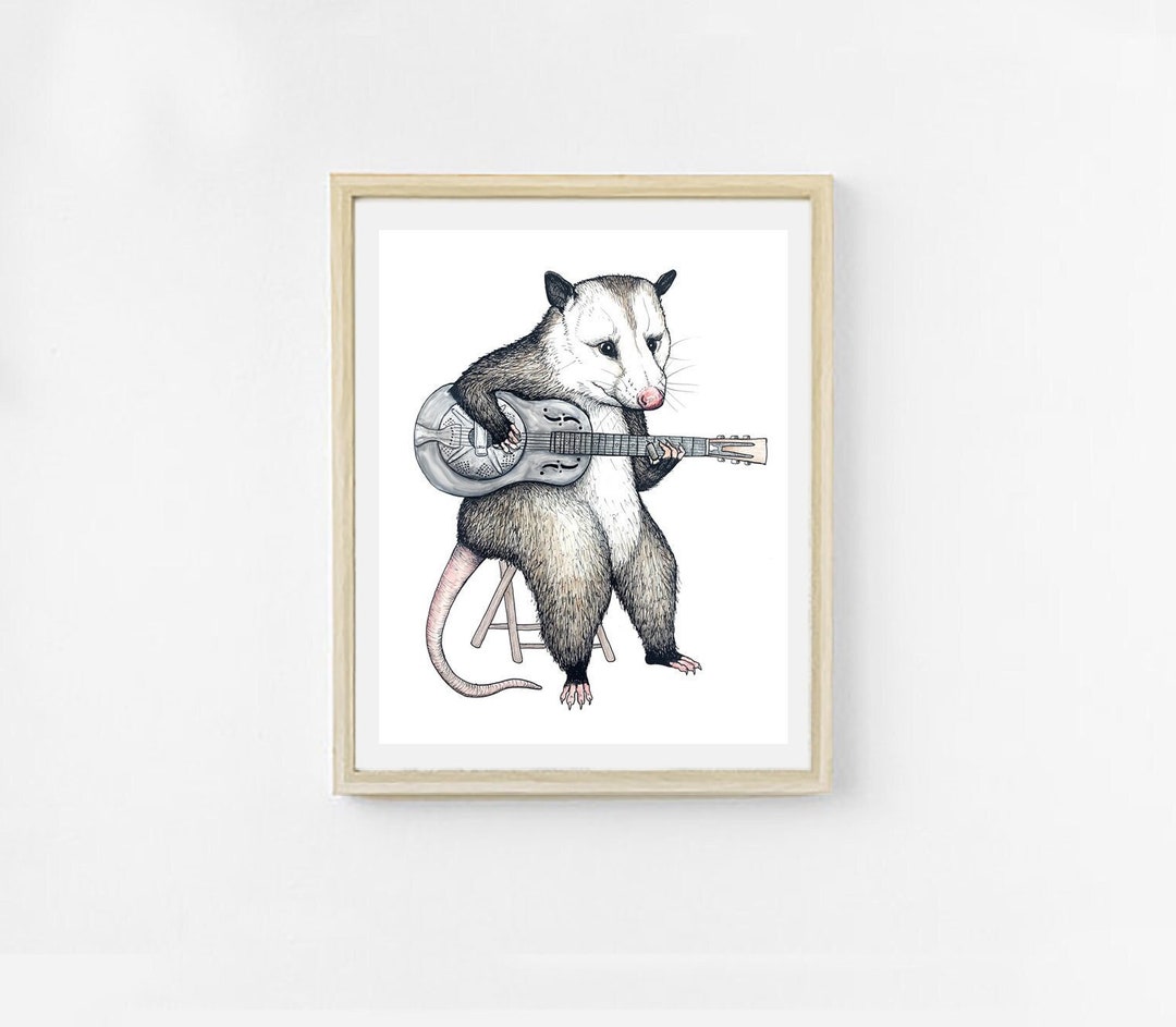 Bluegrass Opossum. Possum Art Print. Bluegrass Animal Band. Bluegrass ...