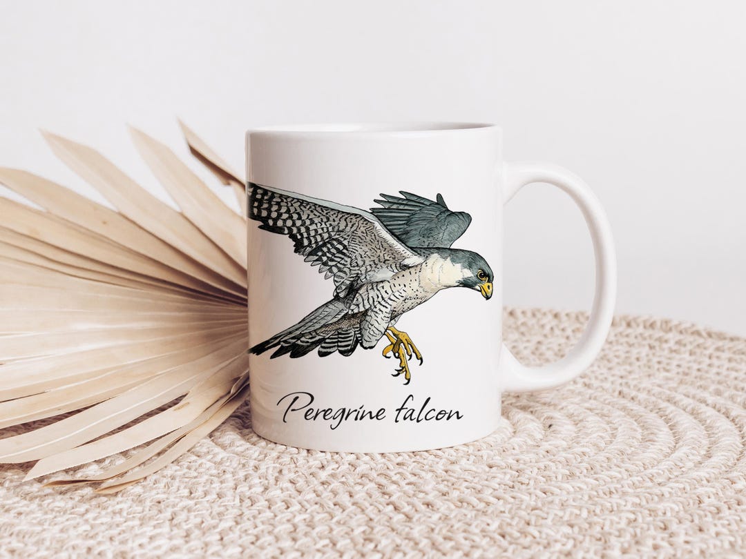 Peregrine Falcon Mug: Original Bird Illustration, Birder Gift - Etsy
