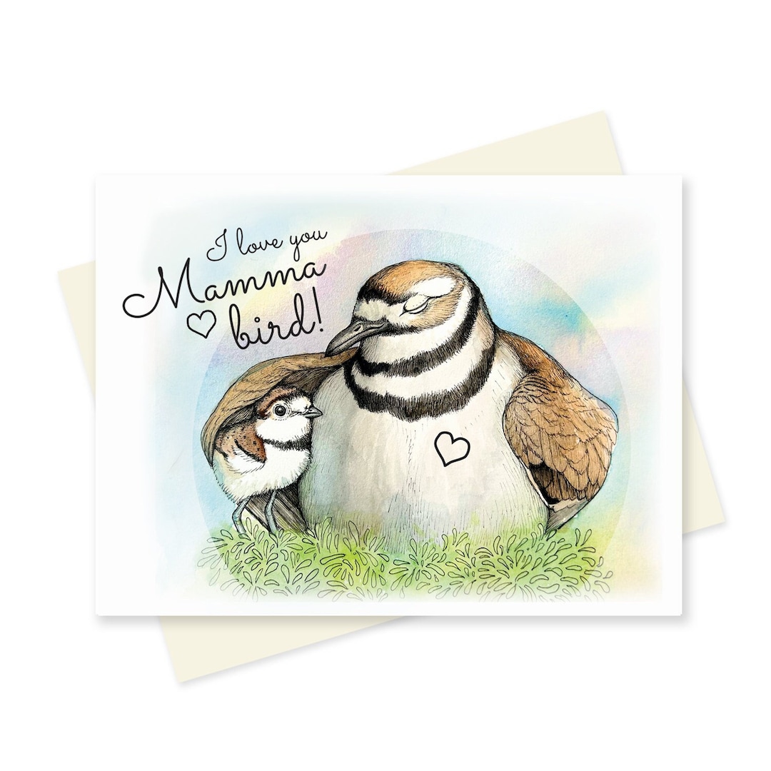 I Love You Mamma Bird Card. Cute Mothers Day Gift. Sweet Chick Mother ...