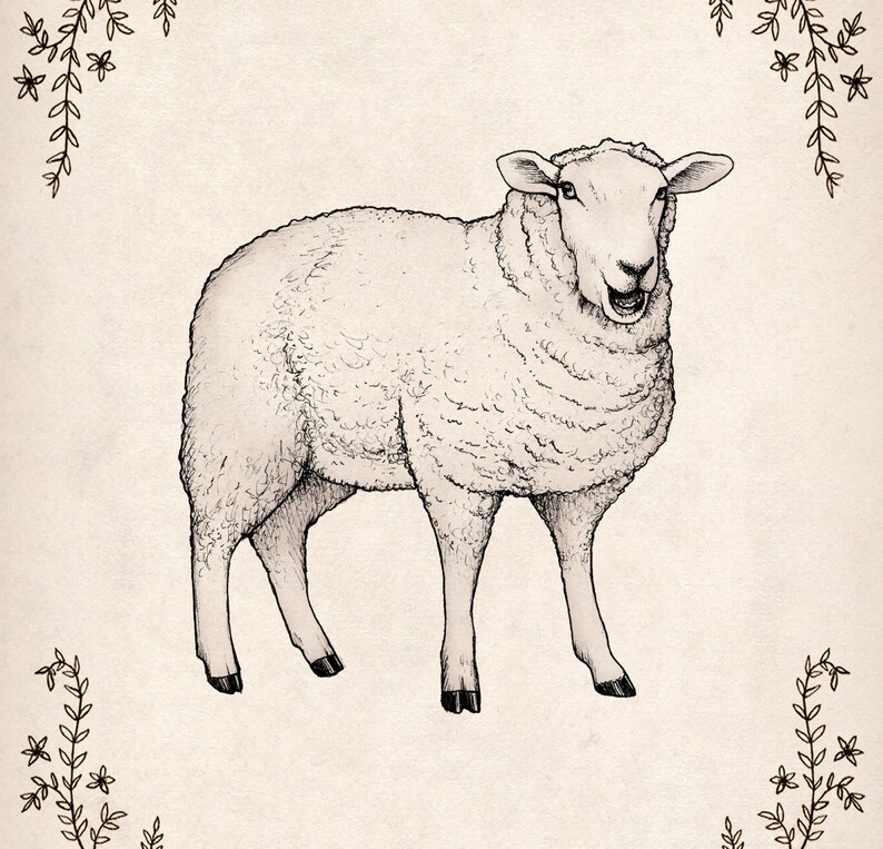 Sheep Art Print. Cute Nursery Decor. Farm Animal Print. Sheep | Etsy