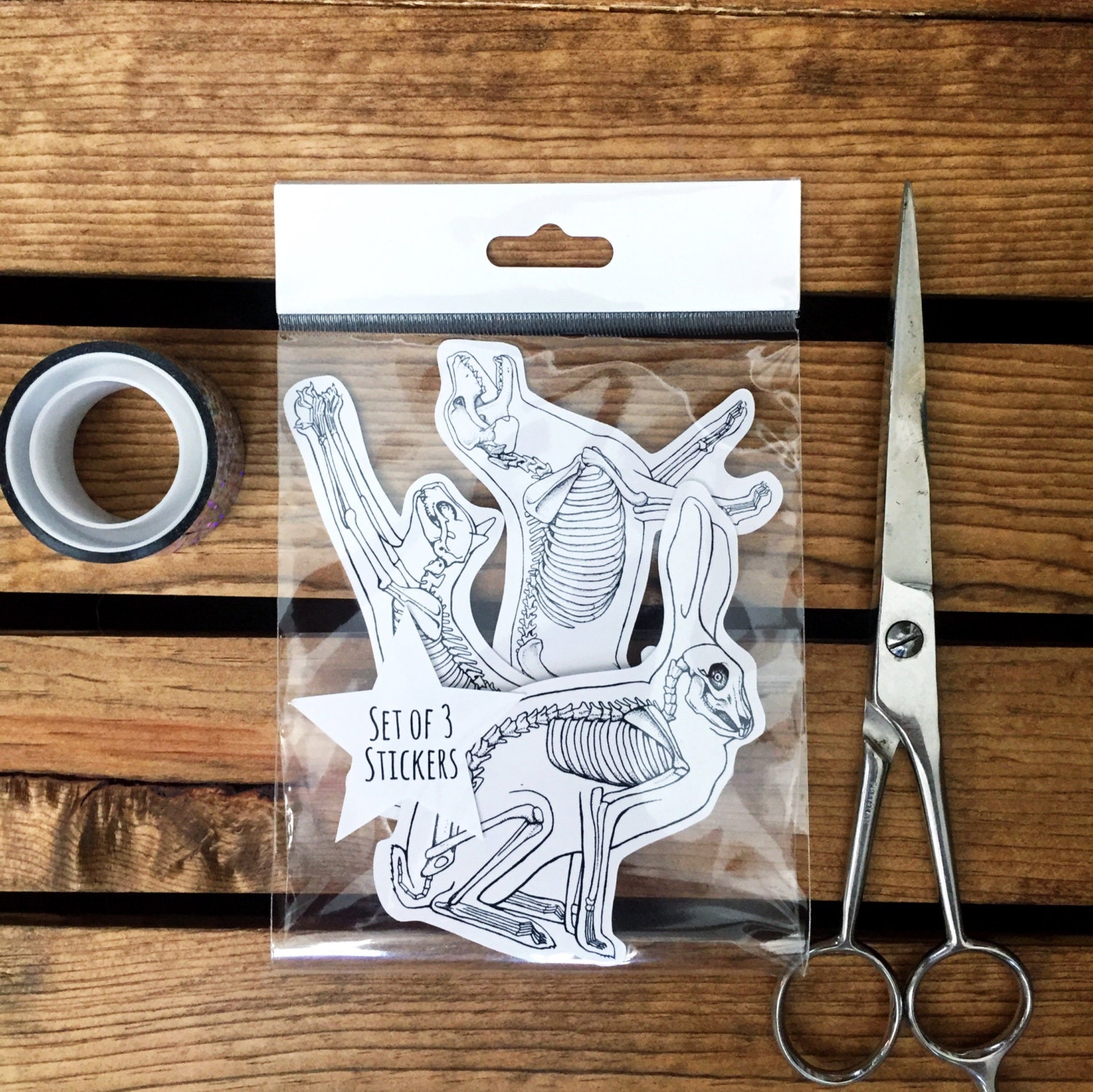 Animal Anatomy Stickers. Science Sticker Set. Dog Cat & | Etsy