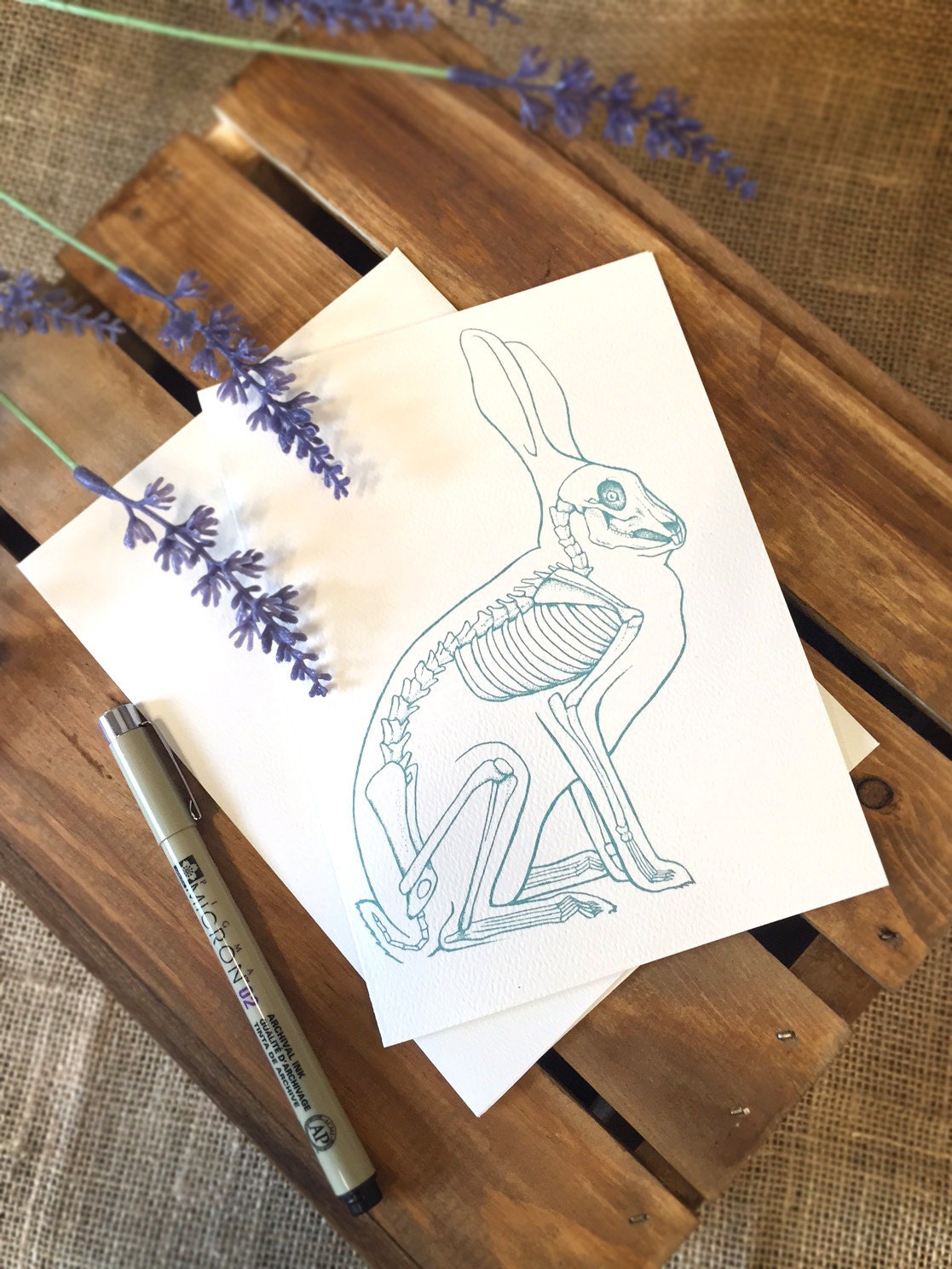 Bunny Skeleton Blank Card - Anatomy Art - Teal - Rabbit Art - Unique ...