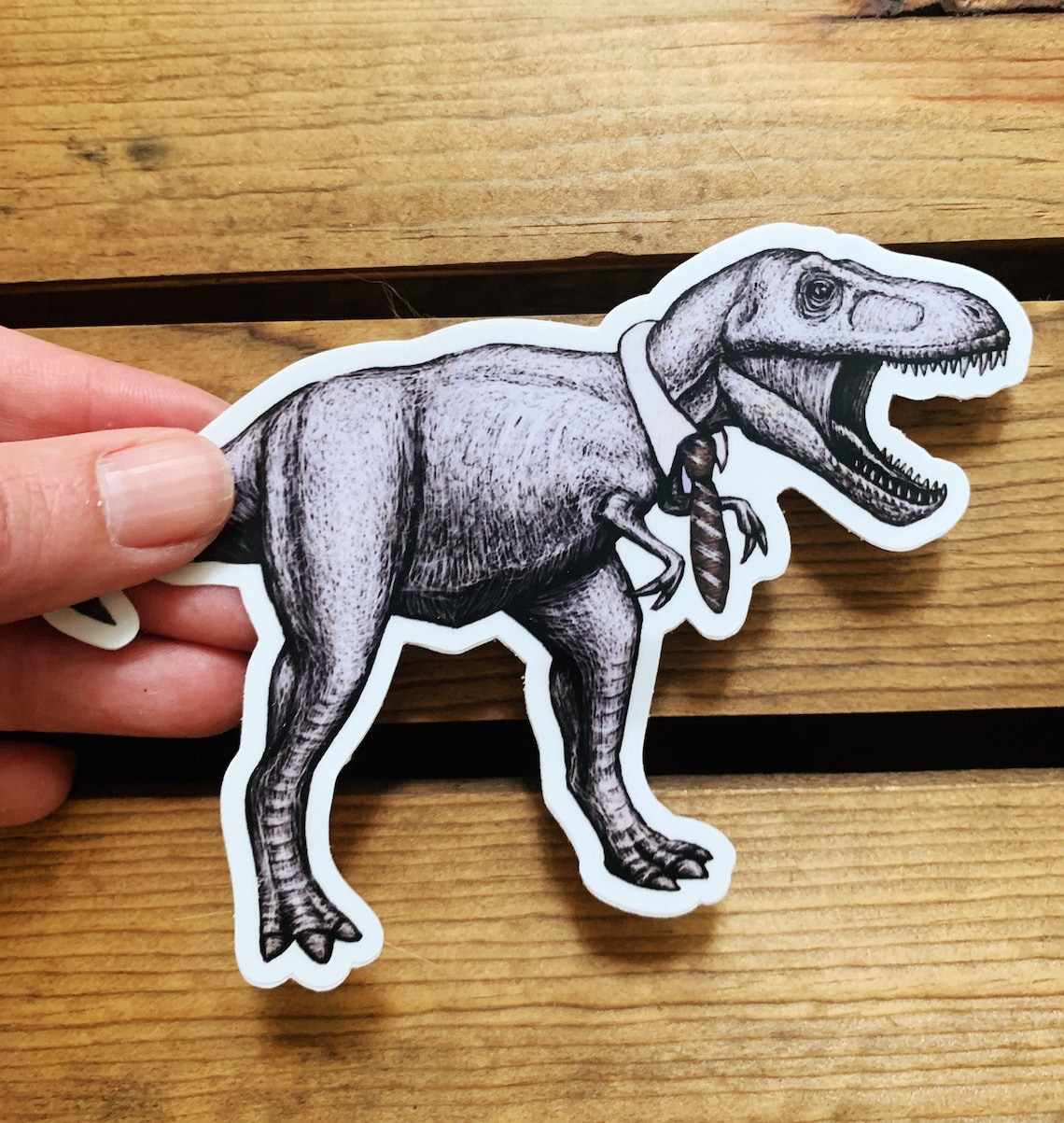 Professional T-rex Vinyl Sticker. Dinosaur Bumper Sticker. - Etsy