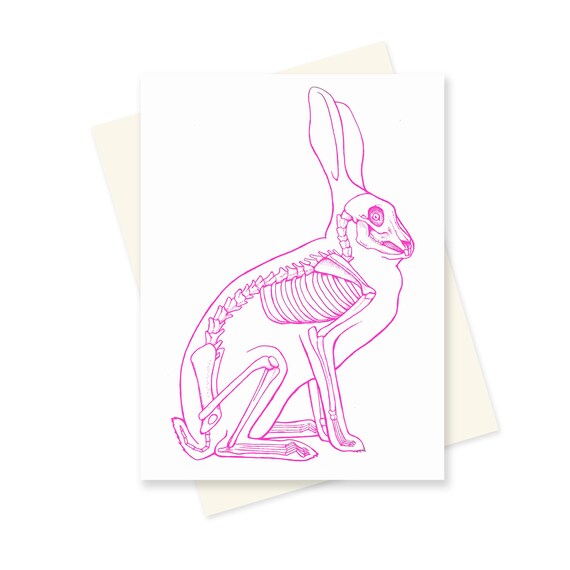 Science Easter Card Rabbit Skeleton Bunny Skeleton | Etsy