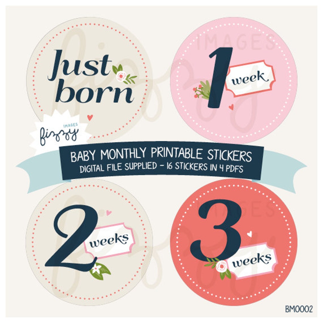16x Baby Monthly Milestone Stickers Girl Printable Instant Download ...