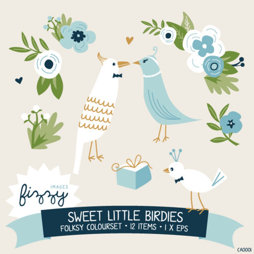 EPS: 12 X Sweet Birds and Flower Clipart in Folksy Colour Set - Digital ...