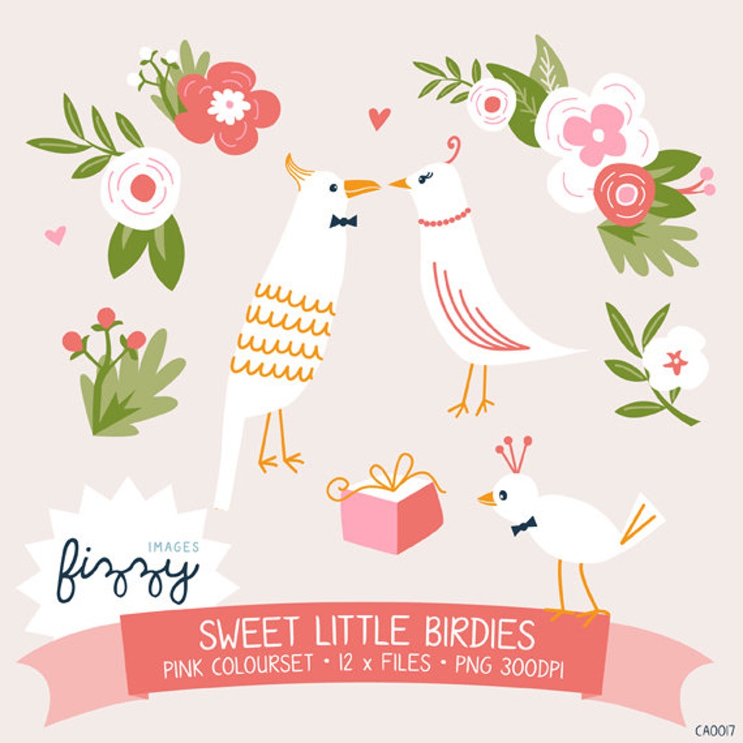 PNG: 12 X Sweet Birds and Flower Clipart in Pink - Digital PNG Files ...