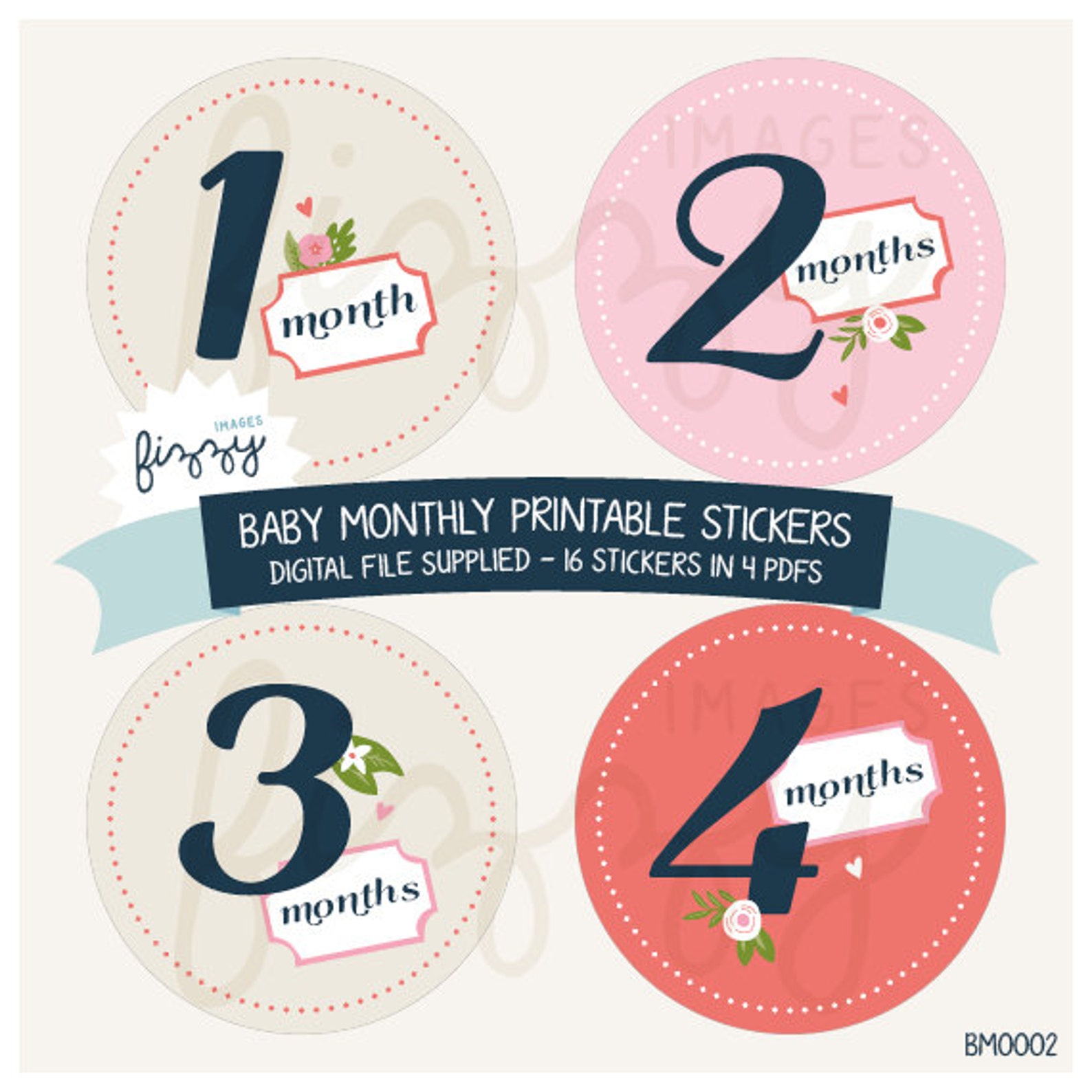 16x Baby Monthly Milestone Stickers Girl Printable Instant Download ...