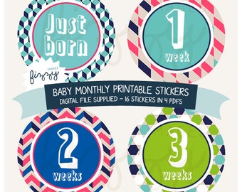 16x Baby Monthly Milestone Girl Stickers Printable Instant | Etsy