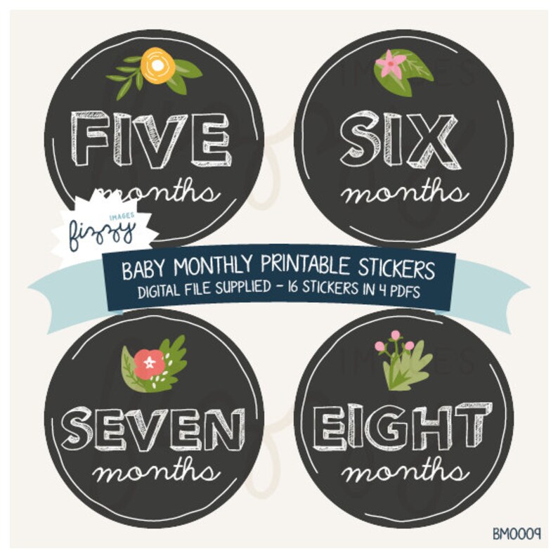 16x Baby Monthly Milestone Girl Stickers Printable Instant Download ...