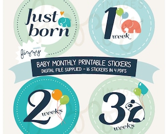 16x Baby Monthly Milestone Girl Stickers Printable Instant | Etsy