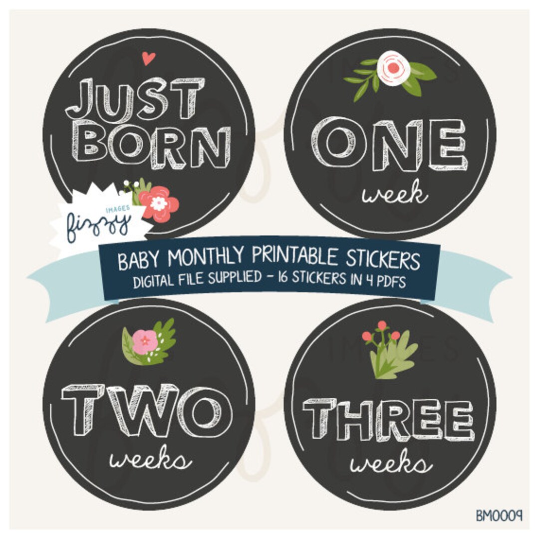 16x Baby Monthly Milestone Girl Stickers Printable Instant - Etsy