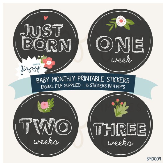 16x Baby Monthly Milestone Girl Stickers Printable Instant Download ...
