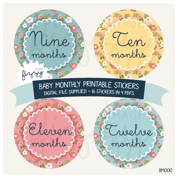 16x Baby Monthly Milestone Stickers Floral Girl Printable | Etsy