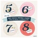 16x Baby Monthly Milestone Stickers Girl Printable Instant Download ...