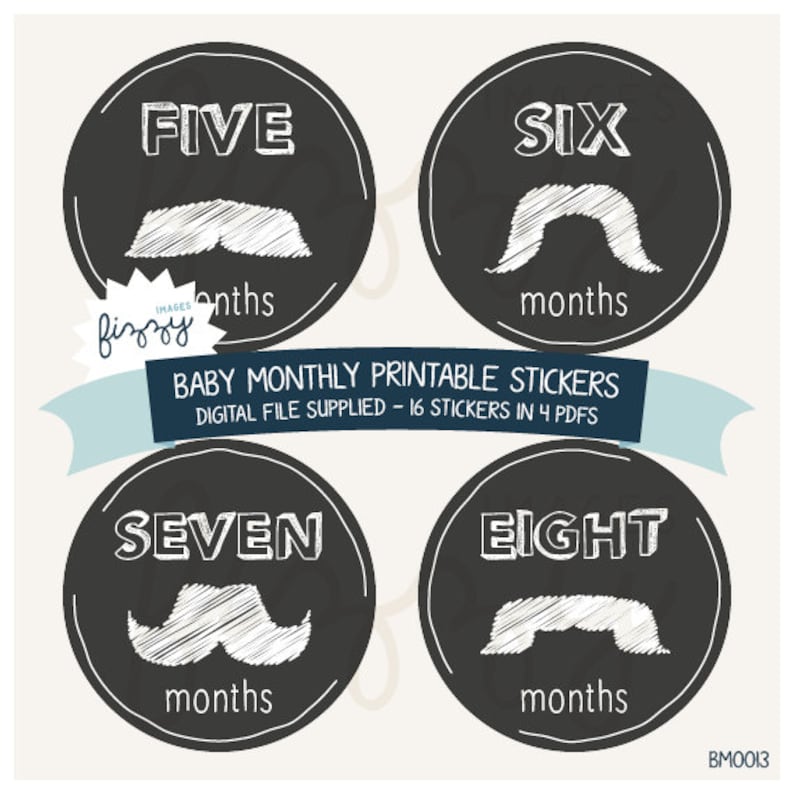 16x Baby Monthly Milestone Stickers Boy Printable Instant Download ...