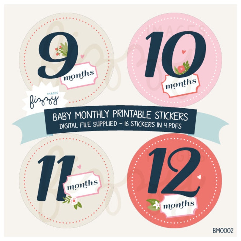 16x Baby Monthly Milestone Stickers Girl Printable Instant Download ...