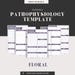 Pathophysiology Template, Disease Template, Nursing Template, Flash ...