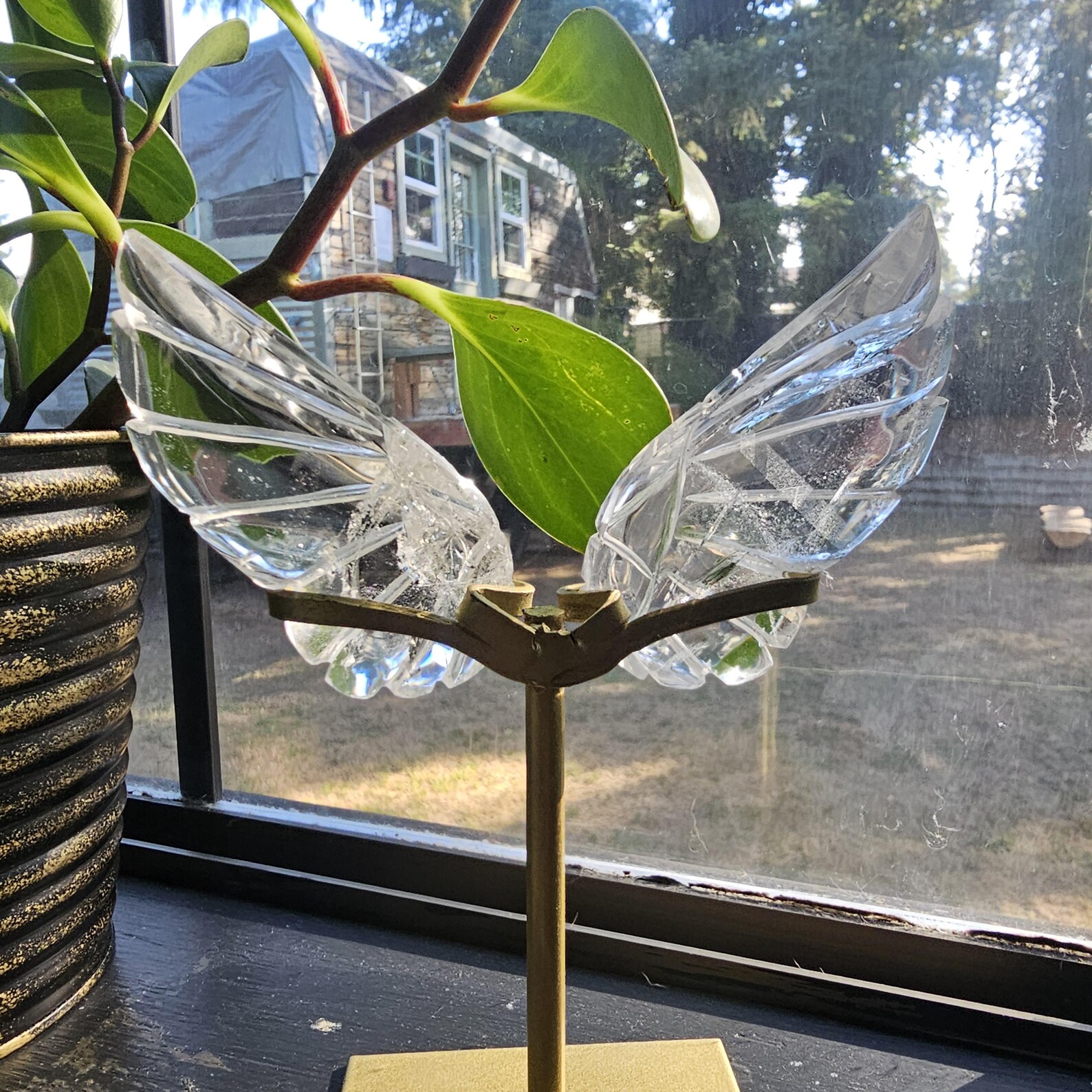 Clear Quartz Angel Wings - Upward-facing - Ultra Clear, Rare, Hand ...