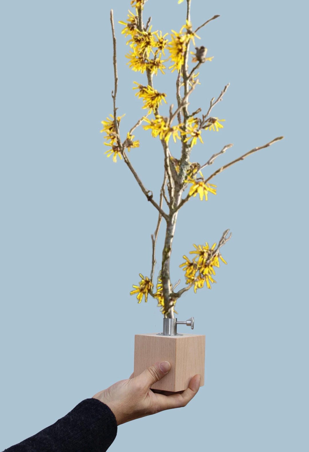 Mini Branch Stand - Etsy