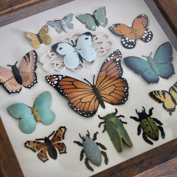Insect Display - Etsy