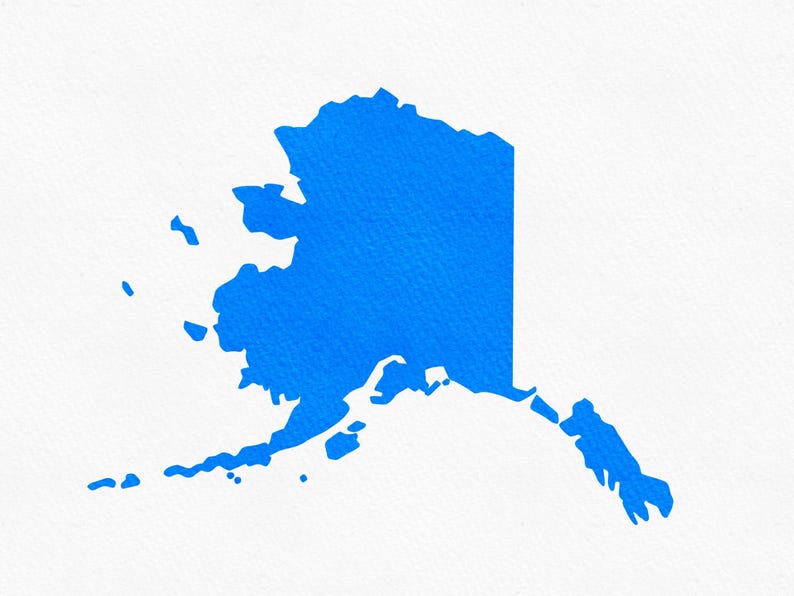 Procreate USA US Map States Stamp Brush America Stamp Election Digital ...