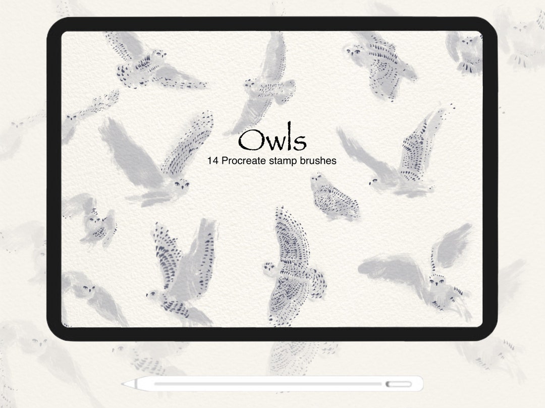 14 Owl Stamp Brush Set Procreate Commercial or Personal - Etsy
