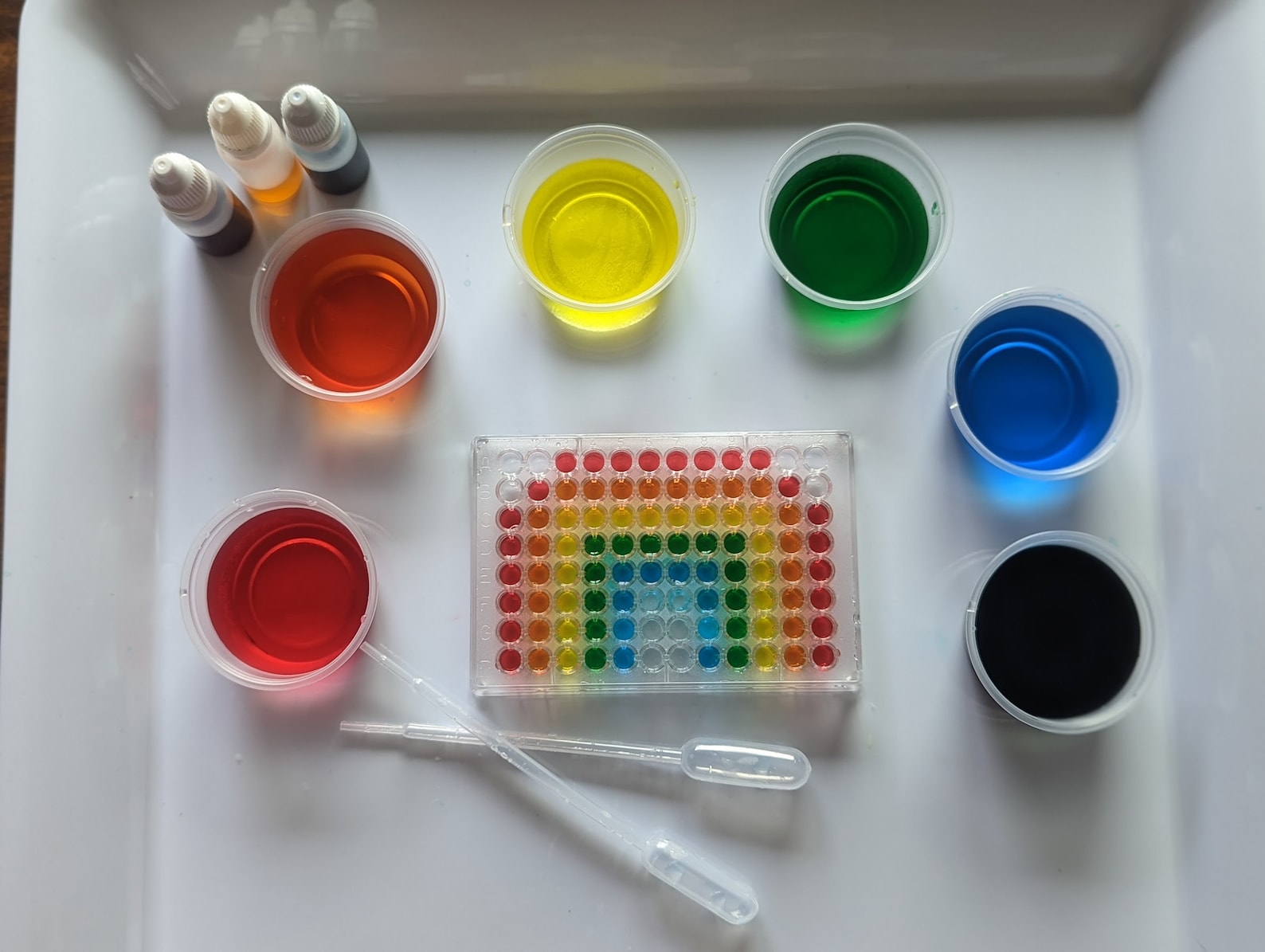 Pipette Art Kit, STEM Kit, Craft Activity, Art Kit for Kids, Creative ...