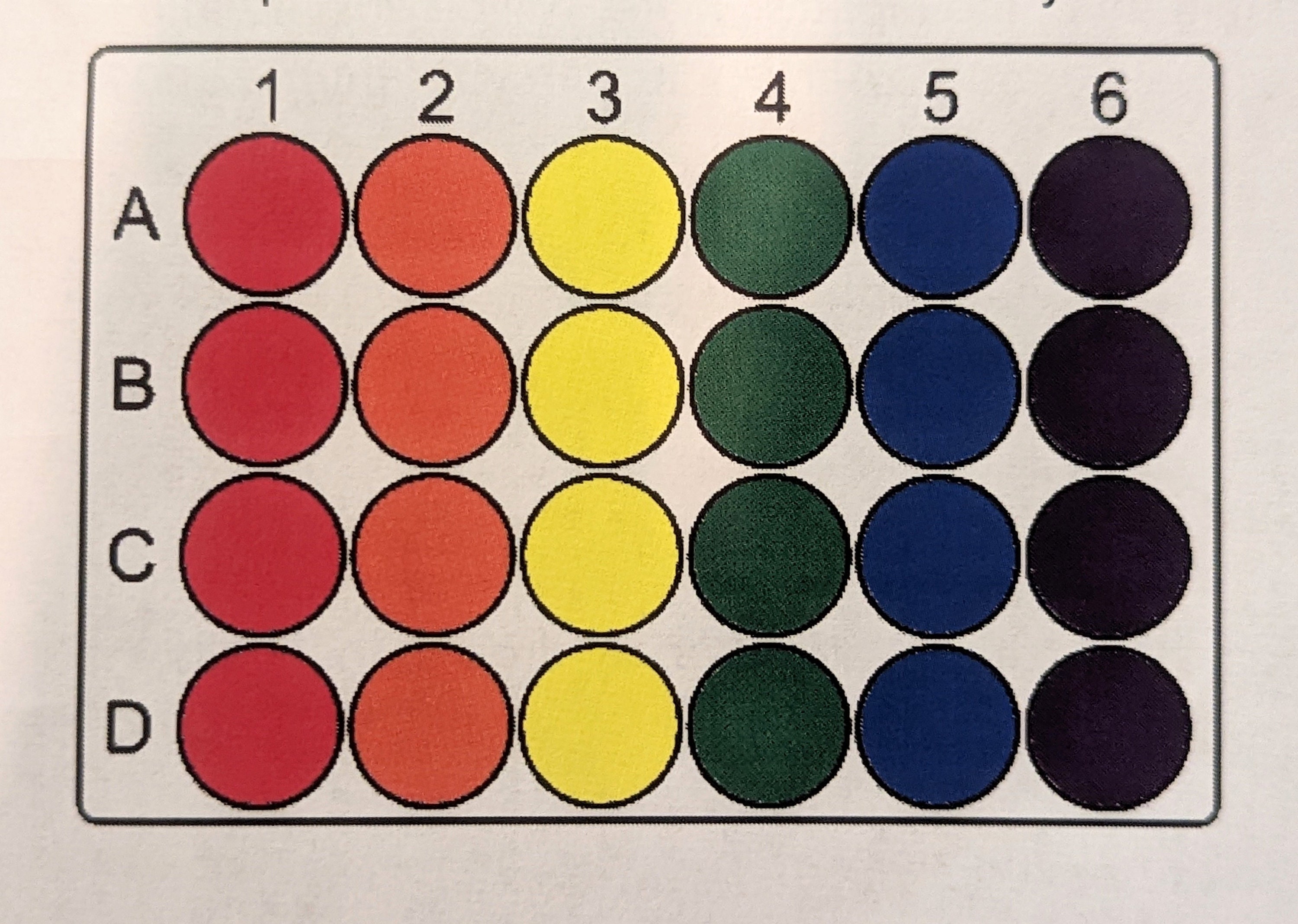 Color Mixing Kit Preschool Activity Toddler Kit STEM Kit - Etsy