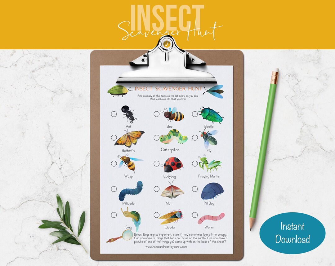 Insect Scavenger Hunt, Kids Outdoor Nature Walk Activity, I Spy Bug ...